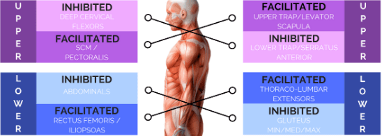 Fitness Pro GM | Muscle Imbalances Syndrome & Yoga Solution