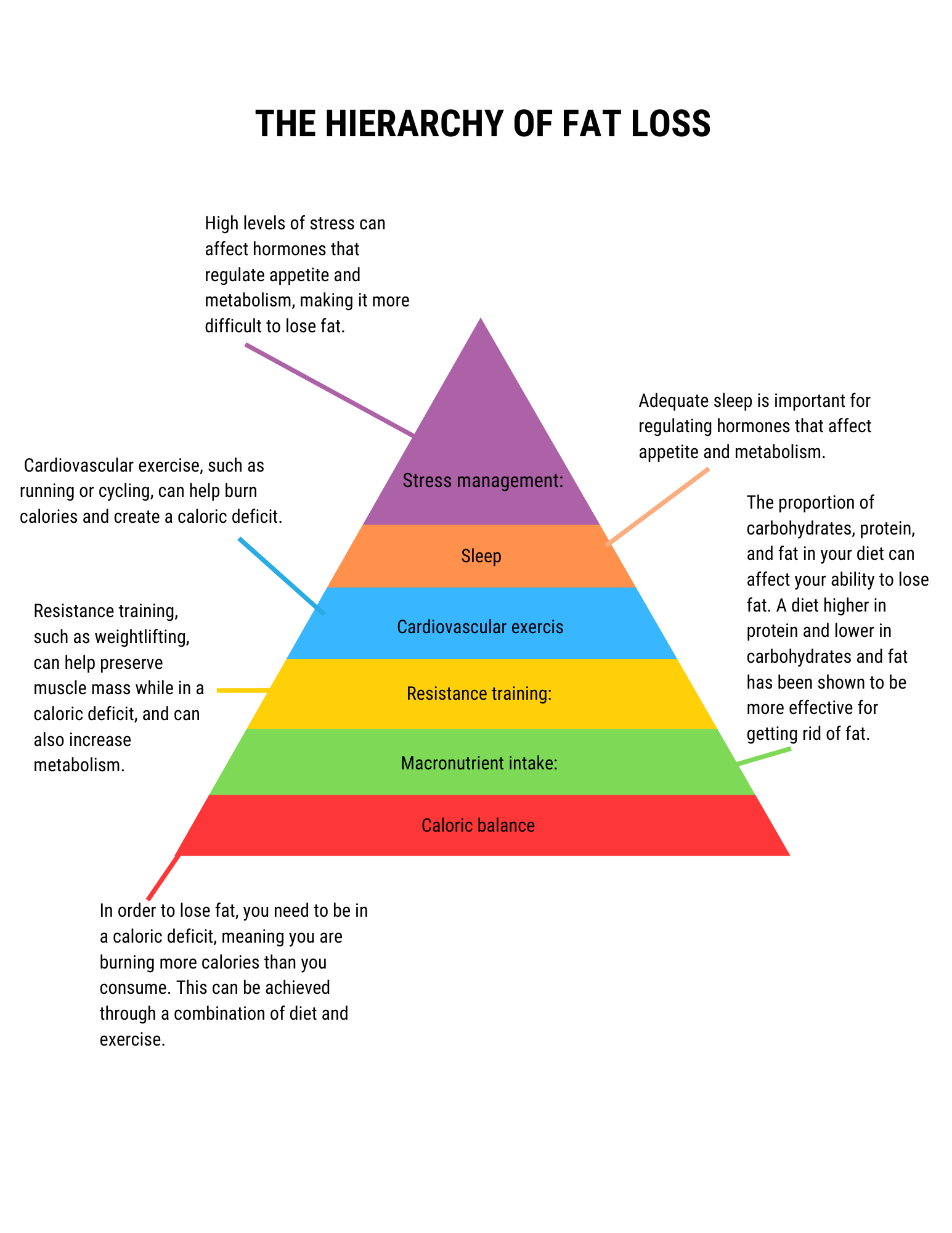 Fitness Pro GM | The hierarchy of fat loss